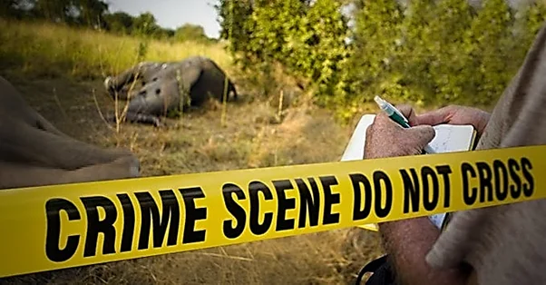 An introduction to Wildlife Crime Scene Investigation