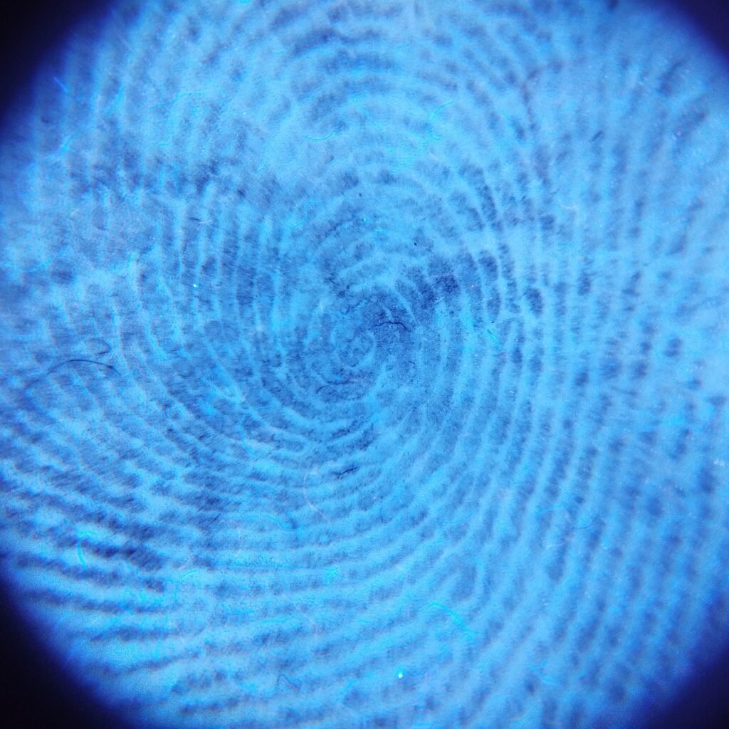 Fingerprint Identification: Principles and Patterns - Handwriting Expert